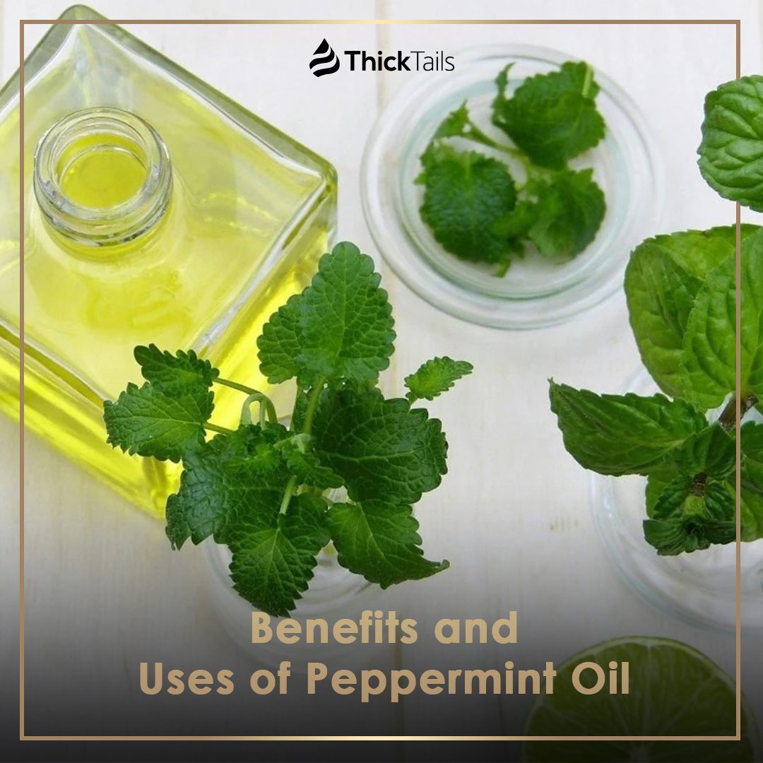 Peppermint Oil: Nature's Remedy for Health and Wellness – ThickTails