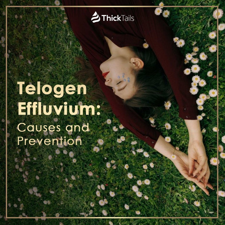 Telogen Effluvium: Everything You Need to Know