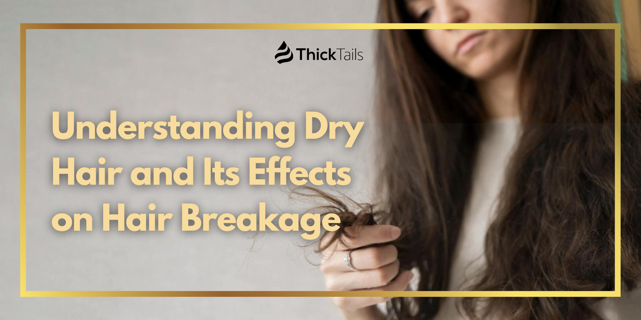 Understanding Dry Hair and Its Effects on Hair Breakage – ThickTails