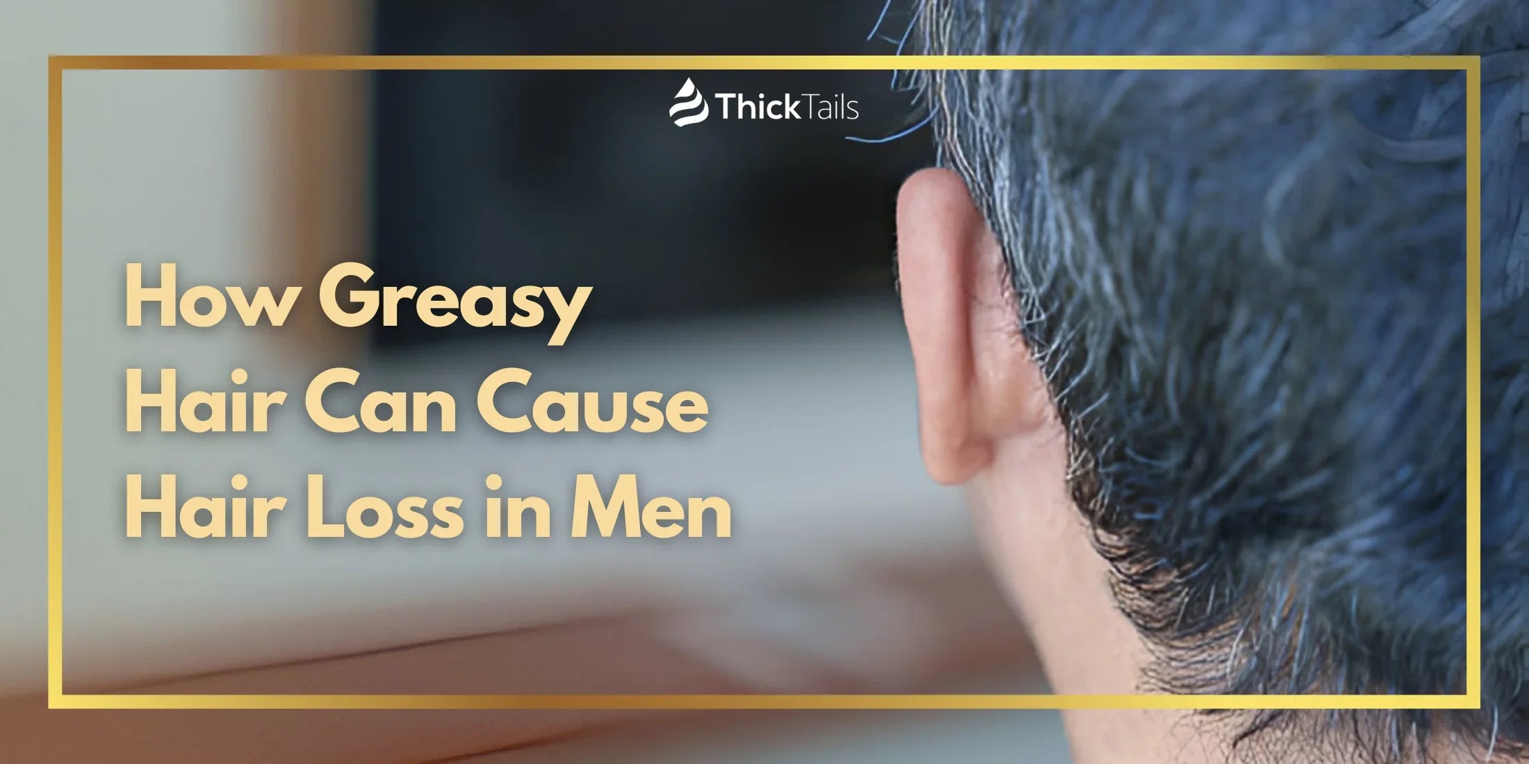 How Greasy Hair Can Cause Hair Loss in Men – ThickTails